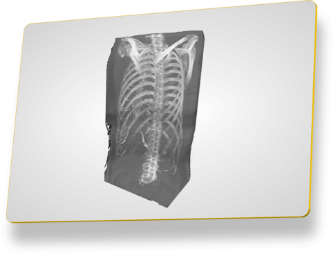 Medical Applications Charts Including EEG & ECG Monitoring