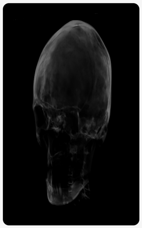 Volume Rendering For Visualizing Volume Models